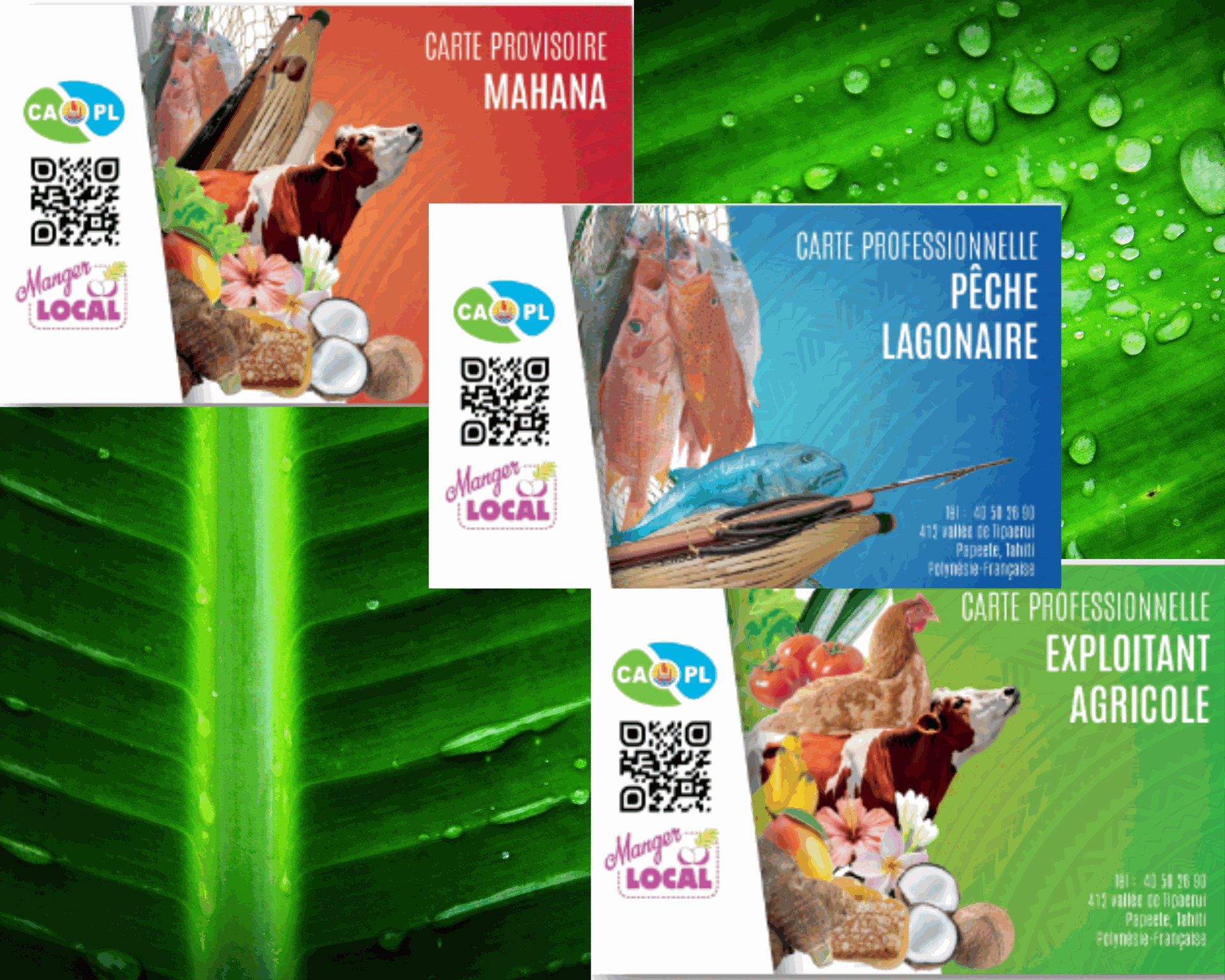 LA CARTE CAPL | CAPL